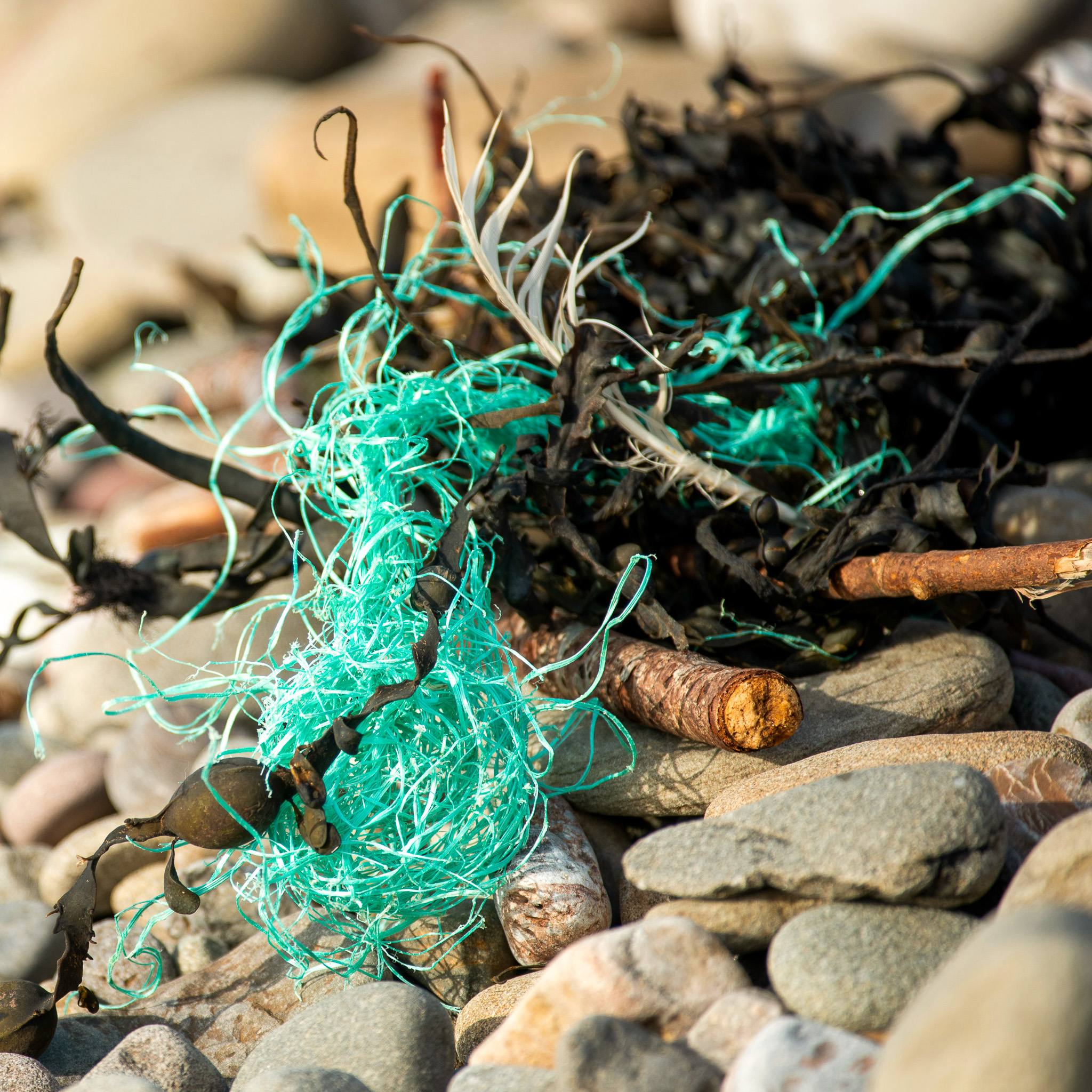 Dissolving plastics pollution